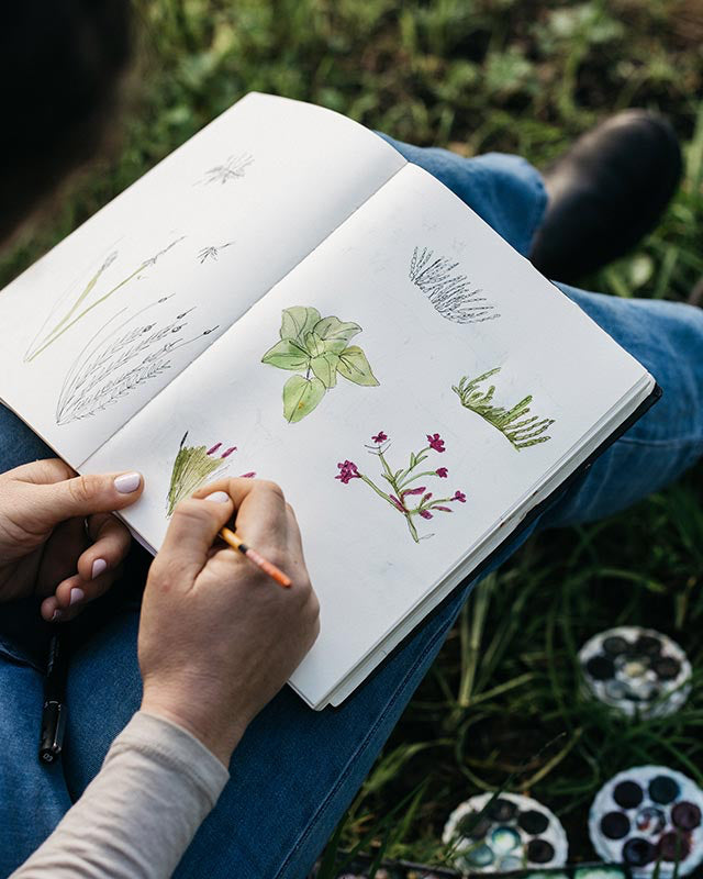 Artwork & products inspired by nature | Artist Claire Mosley