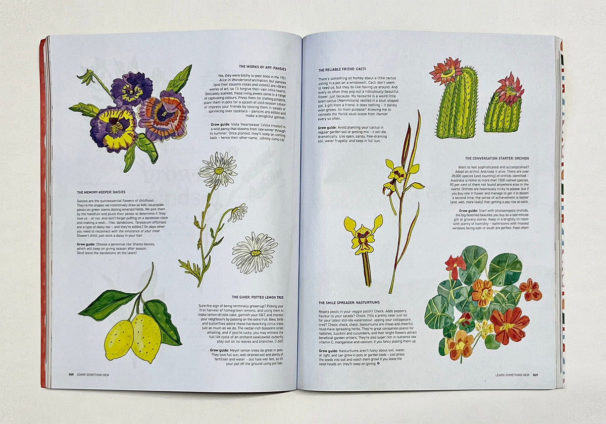 Artwork & products inspired by nature | Artist Claire Mosley